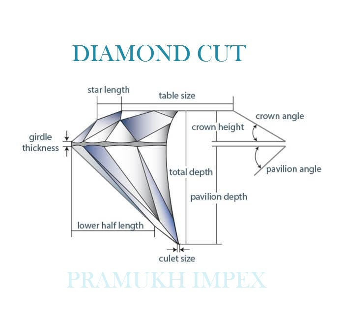 il_fullxfull.2296302653_g62m_1200x1200.jpg?v=1603809985